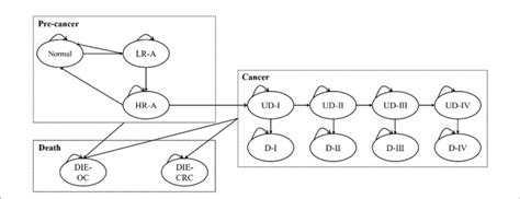Figure The Markov Model For The Base Case Analysis Lhr A Download Scientific Diagram
