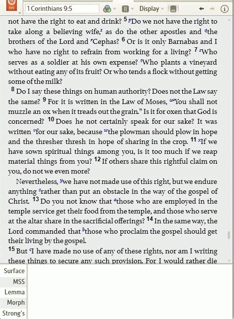 Bug Blank Interlinear Display For Esv Logos Community