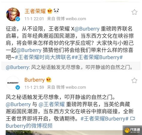 王者荣耀两皮肤爆料，曜与创造营联动偶像皮？瑶妹巴宝莉原画曝光