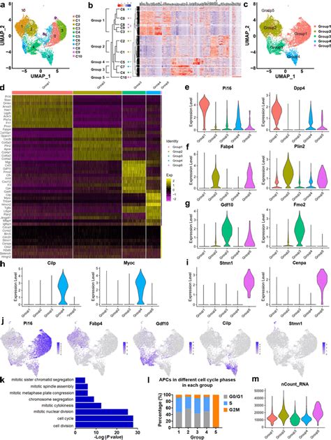 Scrna Seq Analysis Reveals Cellular Heterogeneity Of Apcs In Ibat A Download Scientific Diagram