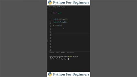 how to shuffle a list python for beginners youtube