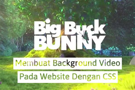 Cara Background Image Css Css Background Gradient Animation