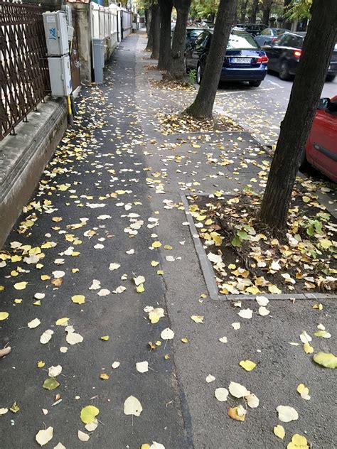 Local Cassies Stories