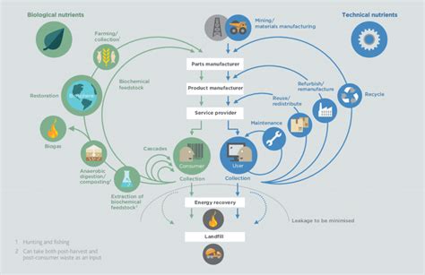 Closed Loops In A Circular Economy Download Scientific Diagram