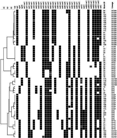 Agr And Set Gene Profiles Upgma Dendrogram Displaying Clustering And