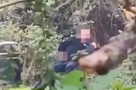 Met Pcso Charged After Performing Sex Act On Park Bench In Broad