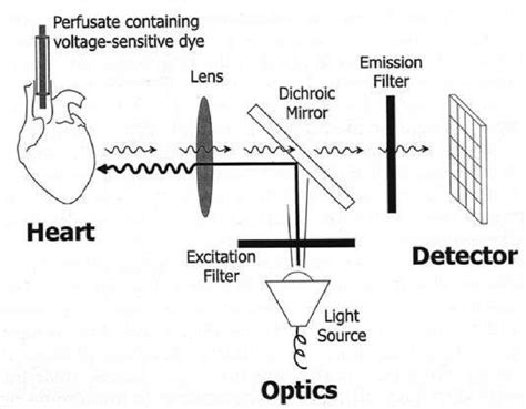 Typical Optical Mapping System Consisting Of Three Major Components 1