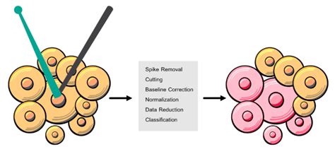 Graphical Sketch Of The Machine Learning Experimental Design Applied In Download Scientific