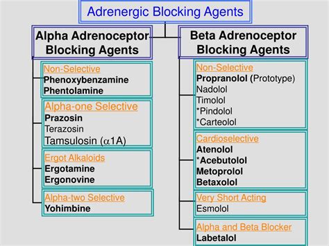 Alpha Beta Adrenergic Blockers At Amanda Snyder Blog