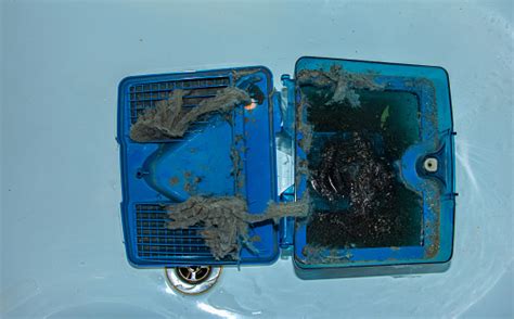 물 필터로 진공 청소기로 청소한 후 더러운 물 필터 가전 제품의 유지 보수 물에 대한 스톡 사진 및 기타 이미지 물 진공