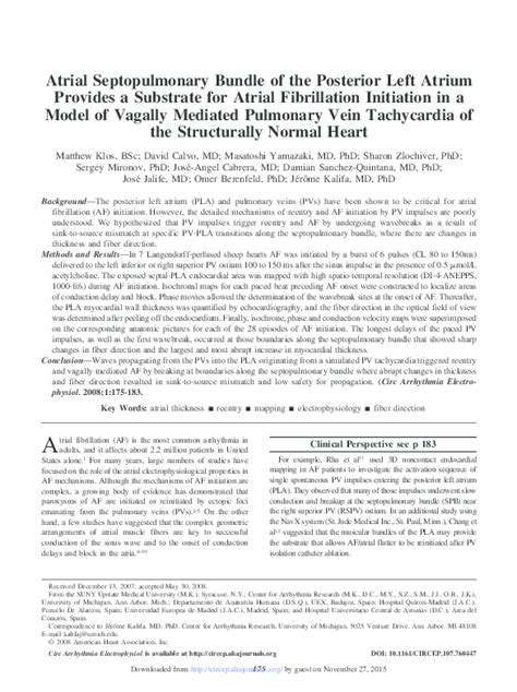 Pdf Atrial Septopulmonary Bundle Of The Posterior Left Atrium Provides A Substrate For Atrial