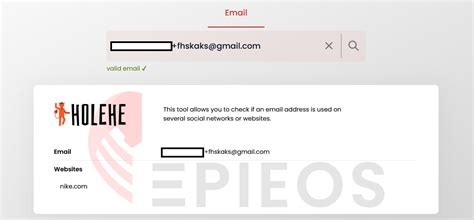 incorrect results glitch · issue 96 · megadose holehe · github