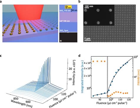 Surface Lattice Resonance Lasers With Epitaxial Inp Gain Medium Acs Photonics