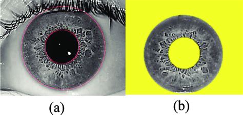 Iris Localization A Iris And Pupil Boundary Detected Using Circular Download Scientific