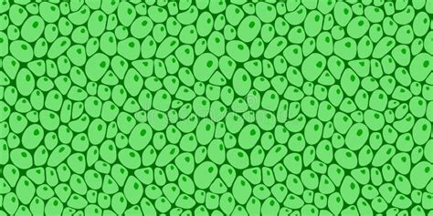 Plant Cells Template Background Vector Illustration Leaf Structure Seamless Pattern Stock
