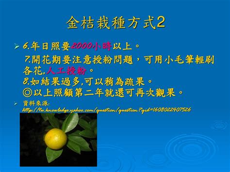 文山國小 5年6班 第4組 組長林郁雯 組員呂啟弘 范揚升 林顥承 鄭昀生 胡嘉君 圖片來源： Ppt Download