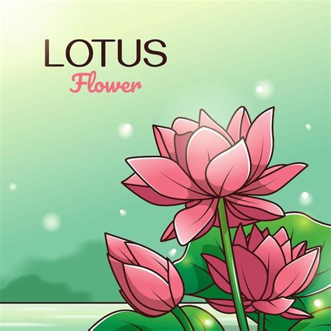 Ilustración De Vector De Flor De Loto Vector Premium