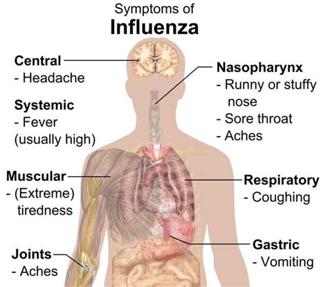 10 Symptoms Of Leukemia You Should Never Ignore Huffington News