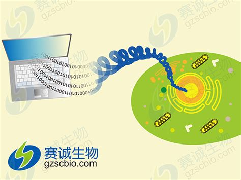 生物信息学专题 技术专题 停用 广州赛诚生物科技有限公司 服务于您的核心利益！