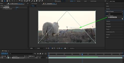 How To Make Presets In After Effects