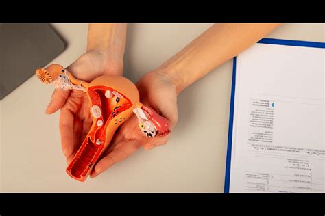 Female Reproduction Might Influence Long Term Metabolic Outcome Medtigo