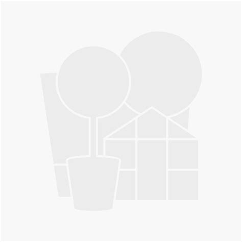 Kraftmeister Multiplex Werkblad Voor Kast Standard Cm