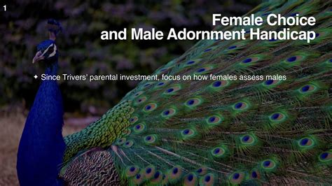 Sexual Selection Part YouTube