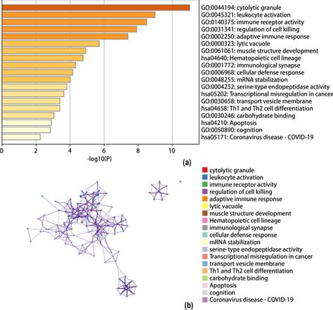 functional enrichment analysis of degs download scientific diagram