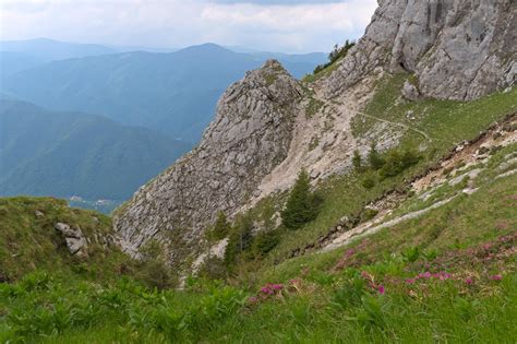 Un Pic De Crai Rromania