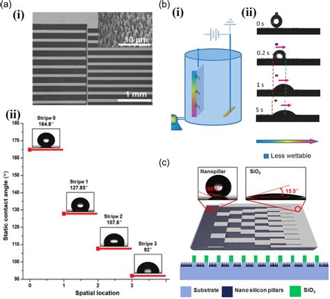 A I Sem Image Of The Stripe Pattern Surface With A Wetting Gradient