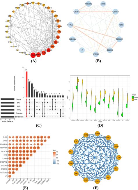Identification And Analysis Of Hub Genes By The Ppi Network A The Top