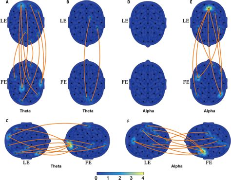 Enhancing Braincomputer Interface Performance By Incorporating Brain To Brain Coupling Cyborg