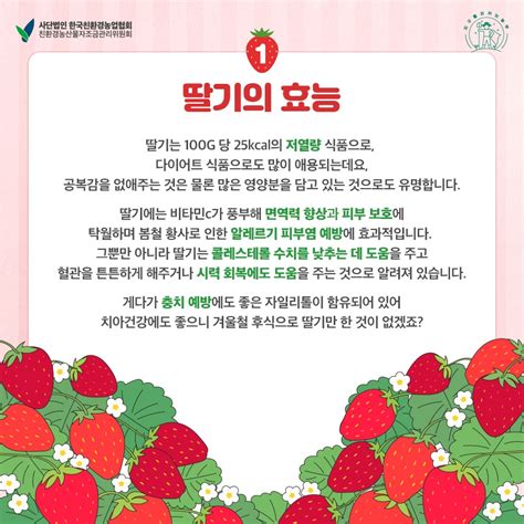 친환경농산물자조금관리위원회 🍓 겨울 제철을 맞은 딸기🍓 여러분은 겨울의 대표 과일 하면 무엇이 떠오르시나요 바로 오늘의 주인공 빨갛고 맛있는 딸기가 아닐까요 🍓