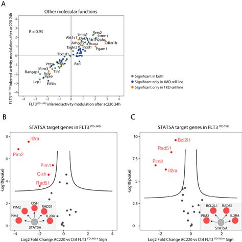 Figure S6 Protein Activity Prediction From Experimental Data In Download Scientific Diagram