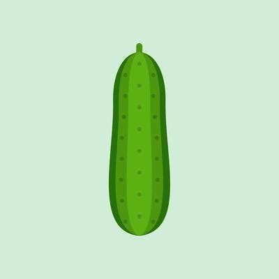Cucumber Plant Vector Art Icons And Graphics For Free Download