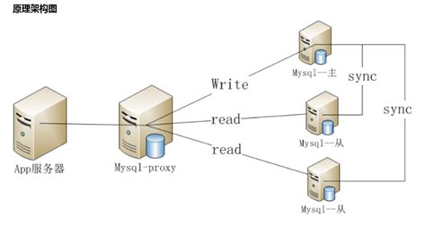 Mysql主从复制实战 Csdn博客