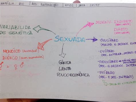 Mapas Mentais Sobre ReproduÇÃo Sexuada Study Maps