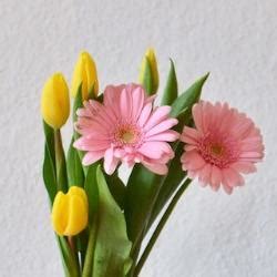 Тесты онлайн | Online Test Pad