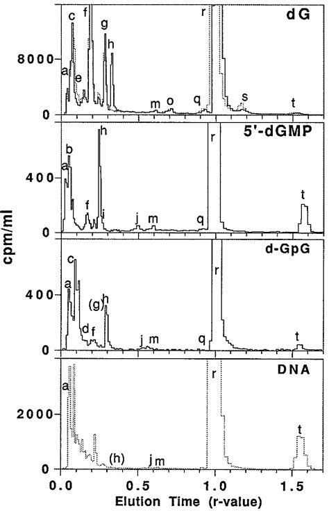 Radioactivity Rp Hplc Profiles Panels Depict Representative Rp Hplc Download Scientific