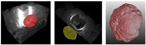 3d Visualizations Of Segmentation Results Segmentation Nodes And