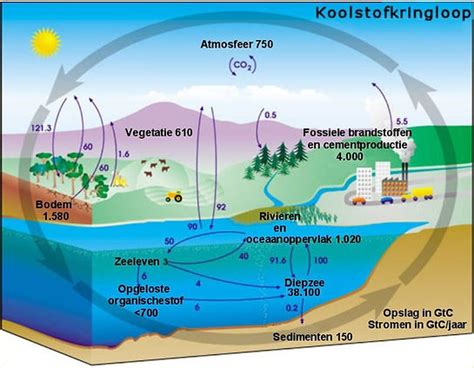 Koolstofkringloop Koolstofkringloop