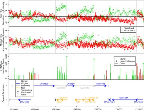 Data For A Region Of The Genome We Show The Tiling And 5 Ј Rna Seq