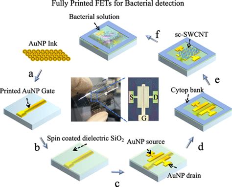 Fully Printed Low Voltage Field Effect Transistor Biosensor Array For One Drop Detection Of