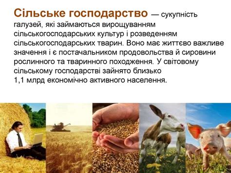 Сільське господарство його значення в сучасному світі презентация онлайн