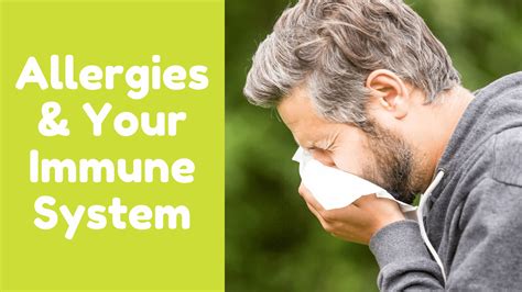 Allergies And Your Immune System Triggers And Solutions