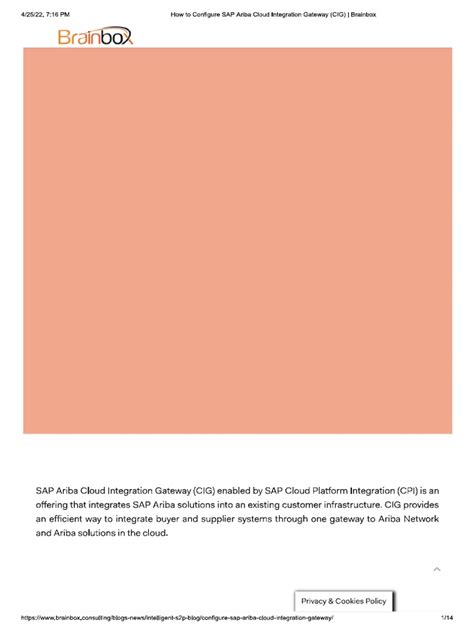 How To Configure Sap Ariba Cloud Integration Gateway Cig Brainbox Pdf