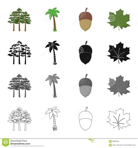 Forest Related Icon Set Stock Vector Illustration Of Forest 99855844