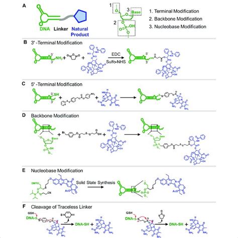 A Scheme Showing The Ligand Linker Drug Construct And Three Download Scientific Diagram