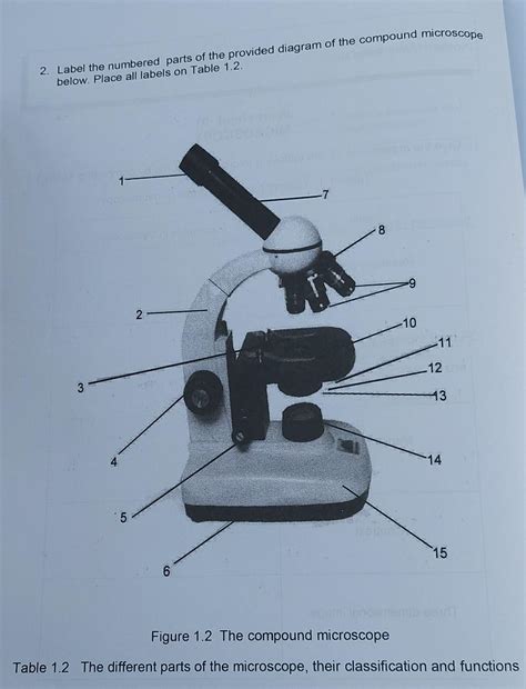 Solved 2 Label The Numbered Parts Of The Provided Diagram
