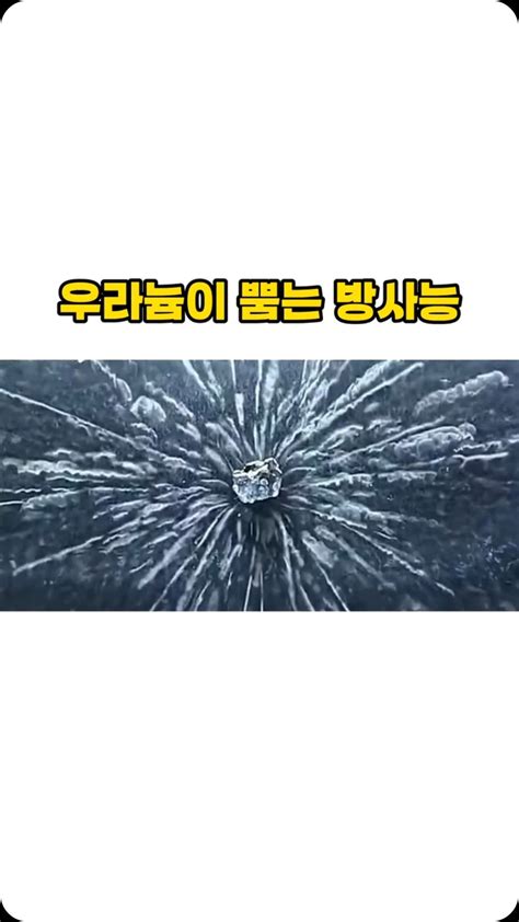 모이무드 Mooimood 🌉샌프란시스코의 랜드마크로 샌프란시스코 베이와 마린 카운티 사이를 연결하는 세계 최초 현수교🌉 Instagram